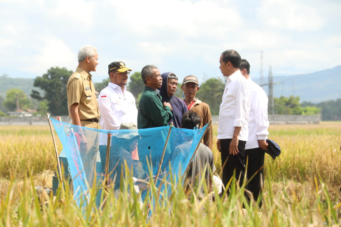 Usai Panen Bersama Presiden, Mentan SYL Canangkan Percepatan Tanam - KeuanganOnline.id